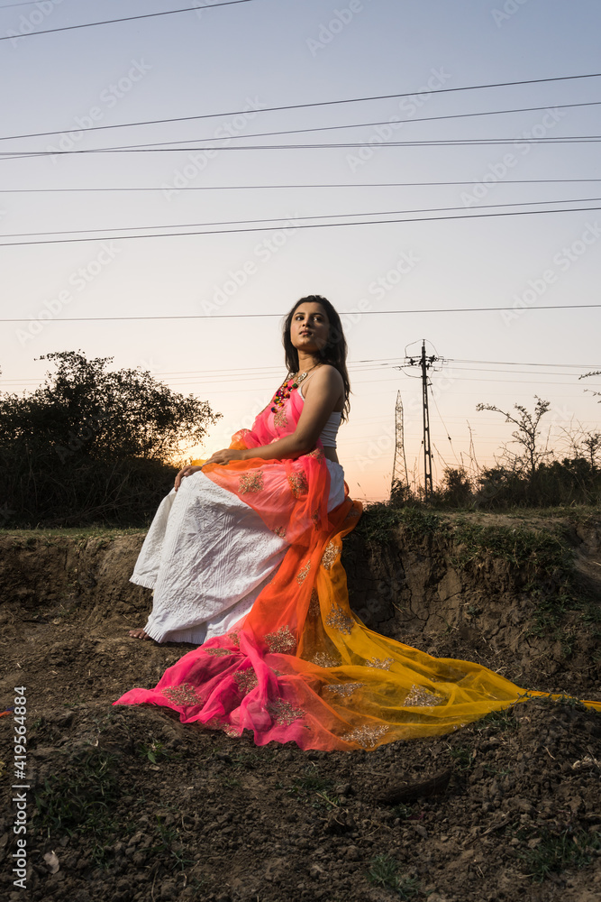 Portrait of beautiful Indian girl wearing Indian traditional dress ...