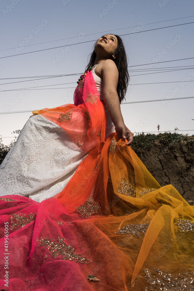 Portrait of beautiful Indian girl wearing Indian traditional dress ...