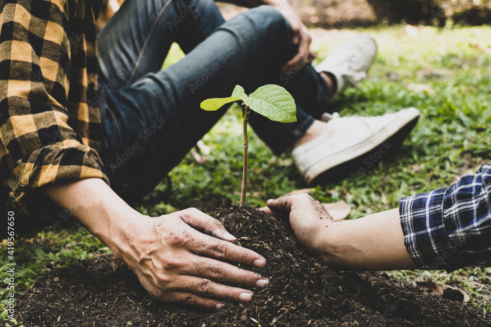 The hands of two people help each other are planting young seedlings on ...