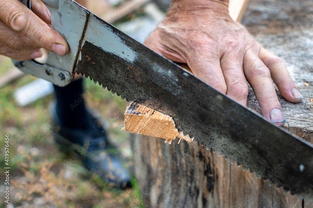 The hand of a senior man is sawing a board with an old hand saw or ...