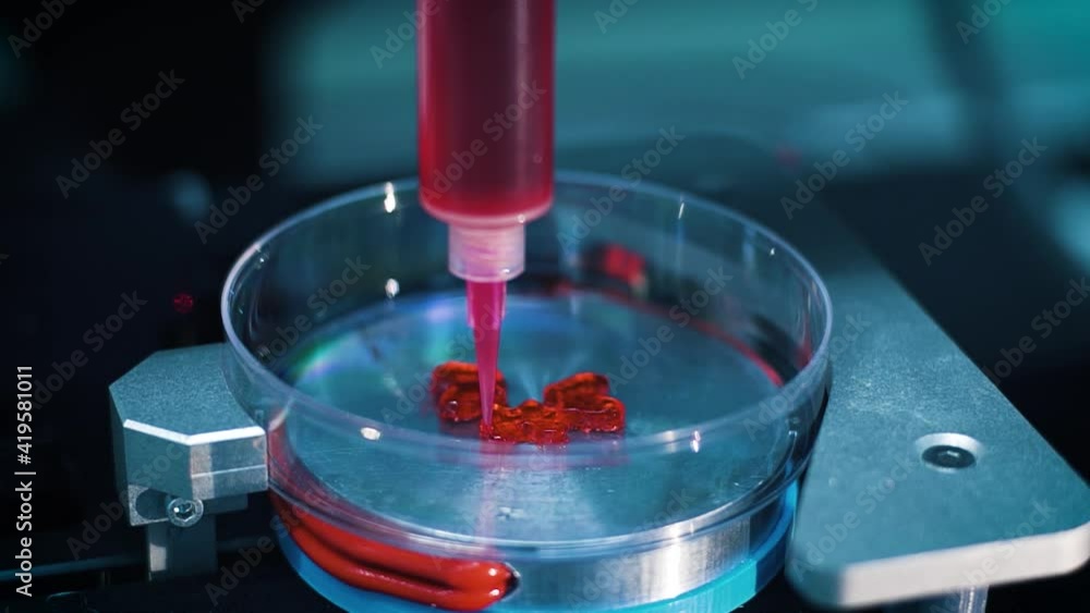 Video Stock Real Process of 3d printing for medicine. bioprinting of ...
