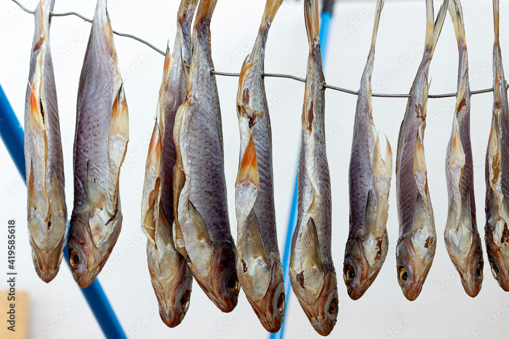 dried fish, salted roach dry on a wire Stock Photo | Adobe Stock