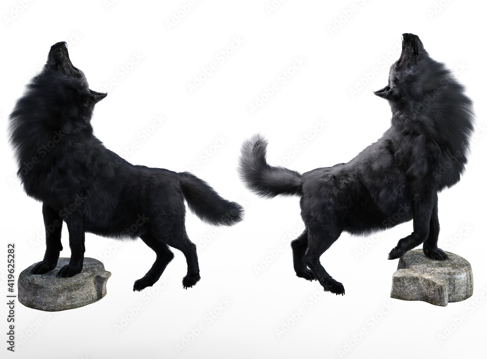 Black wolves howling render with white background Stock Photo | Adobe Stock