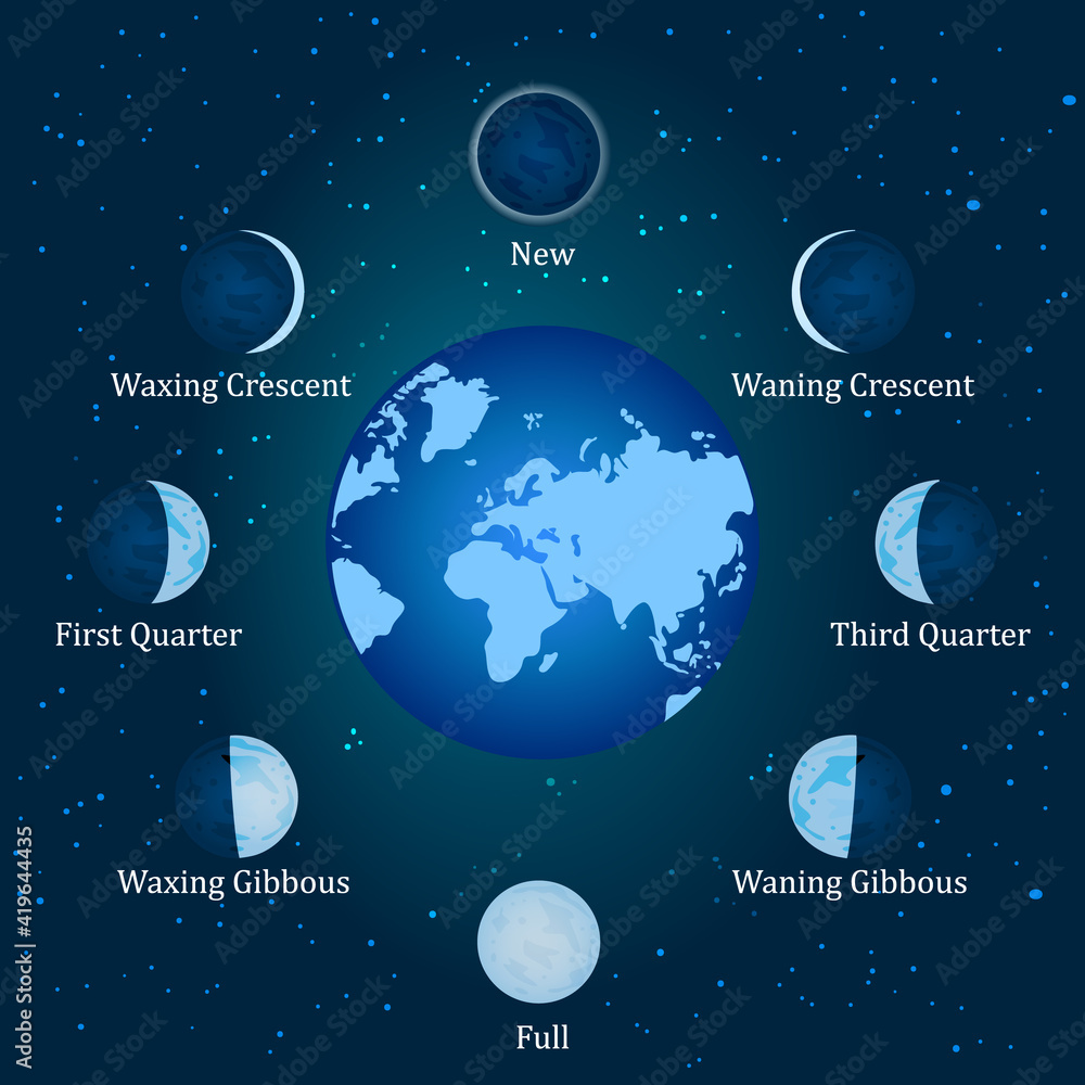 Vettoriale Stock Moon phases. Relation of the phases of the moon with ...