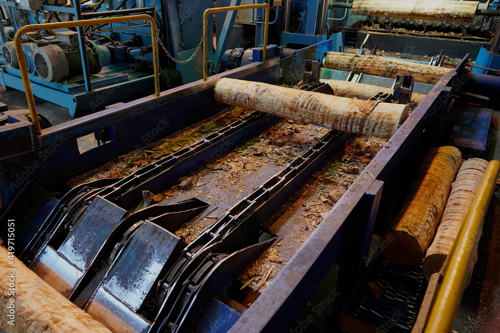 Wood processing at a sawmill. Preparation of a log for the production ...