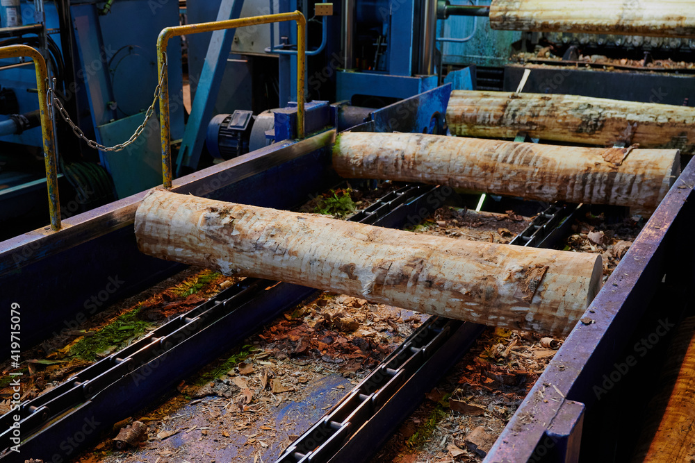 Wood processing at a sawmill. Preparation of a log for the production ...