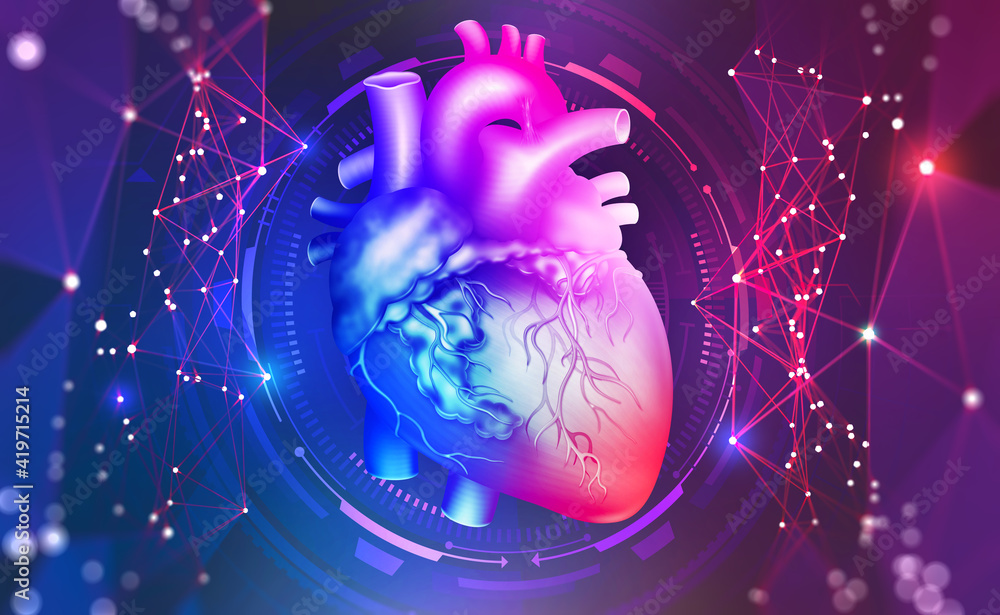 Human heart. Digital technologies in medicine and scientific research ...