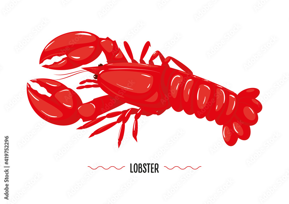 Vetor de Prepared red lobster profile isolated on white backgroun ...