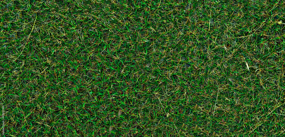 grass texture plane perpendicular Stock Photo | Adobe Stock