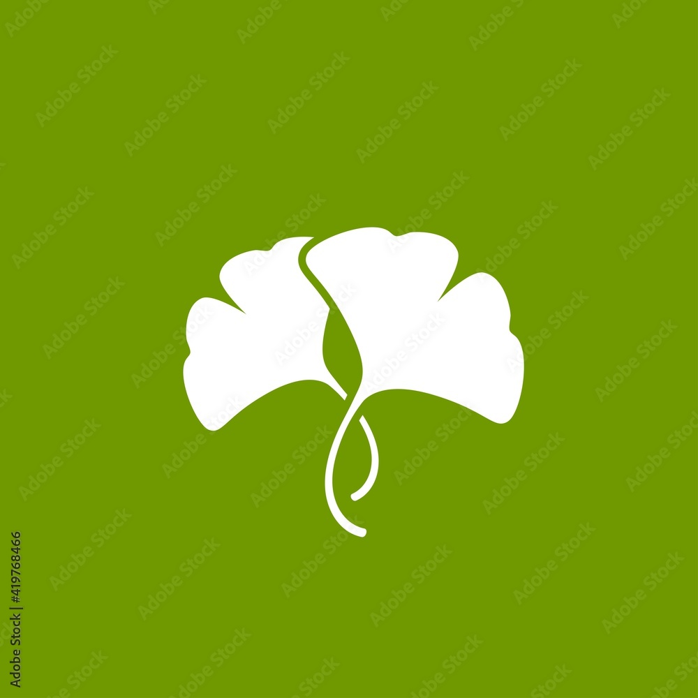 Cartoon flat white ginkgo biloba leaves isolated on green. Nature eco ...