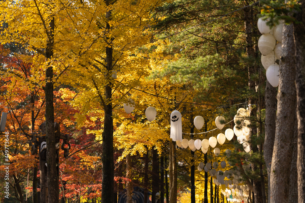 Gapyeong,South Korea-October 2020: Autumn foliage tree in the forest ...