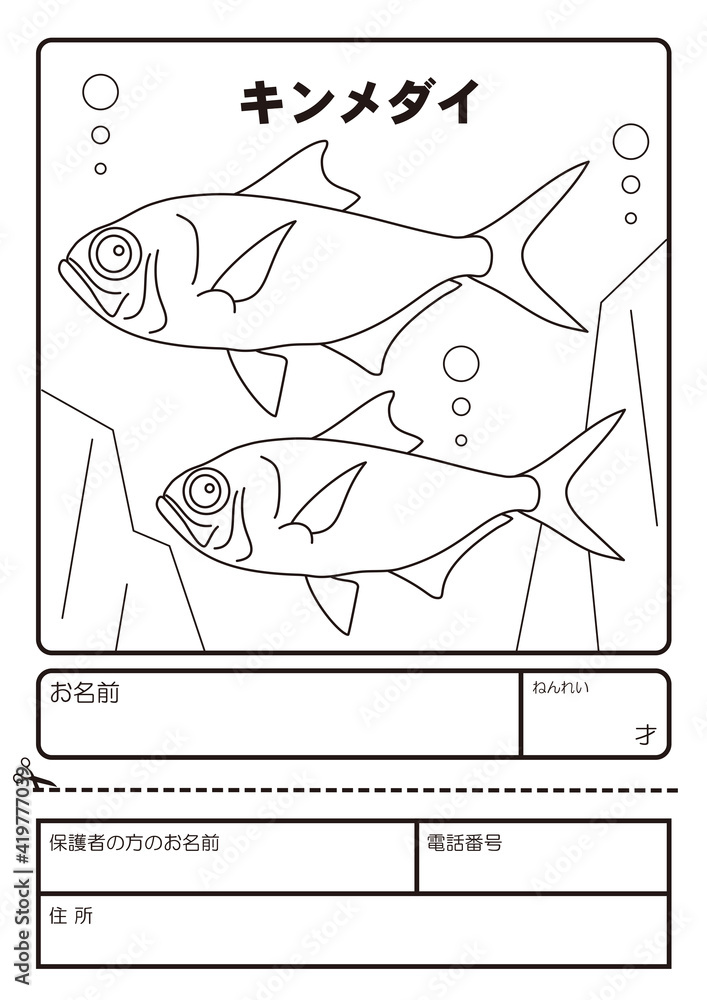 キンメダイ Beryx splendens イラスト ぬりえ 応募用紙 Kinmedai Beryx splendens ...