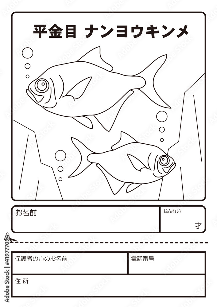 キンメダイ Beryx splendens イラスト ぬりえ 応募用紙 Kinmedai Beryx splendens ...