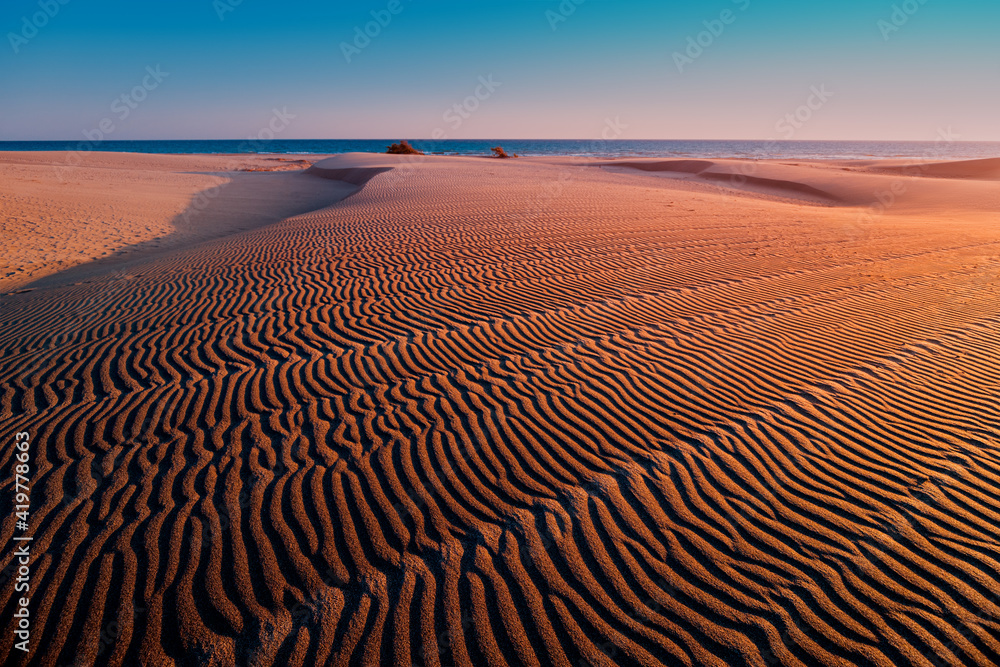Desert background of a Close-up view of orange nature texture of the ...