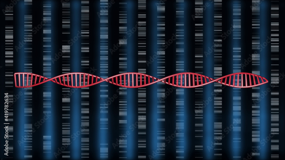 DNA molecule in front of dna barcodes . DNA barcoding , scan , analysis ...