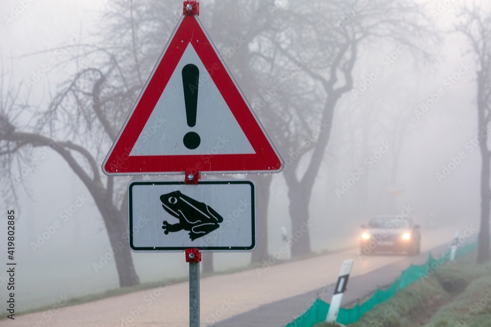 As common frogs enter mating season warning signs are erected for ...