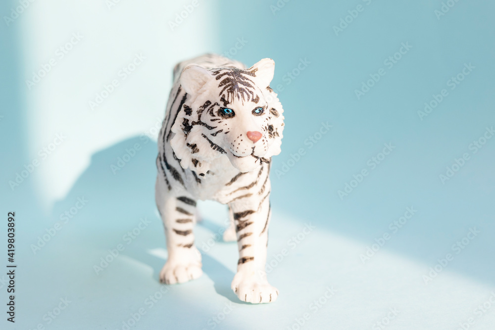 white tiger as a symbol of the new year 2022 on the Chinese calendar on ...