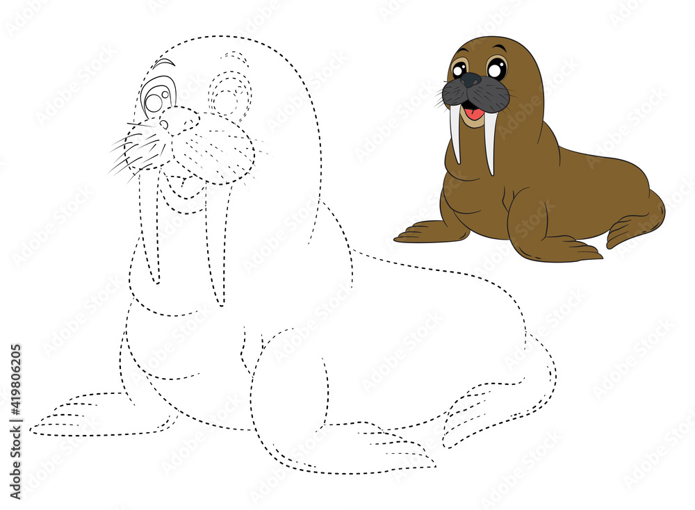 Tracing drawing cute Animal walrus sketch game puzzle kids,character ...