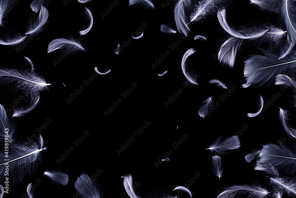 Falling Feather Wallpaper