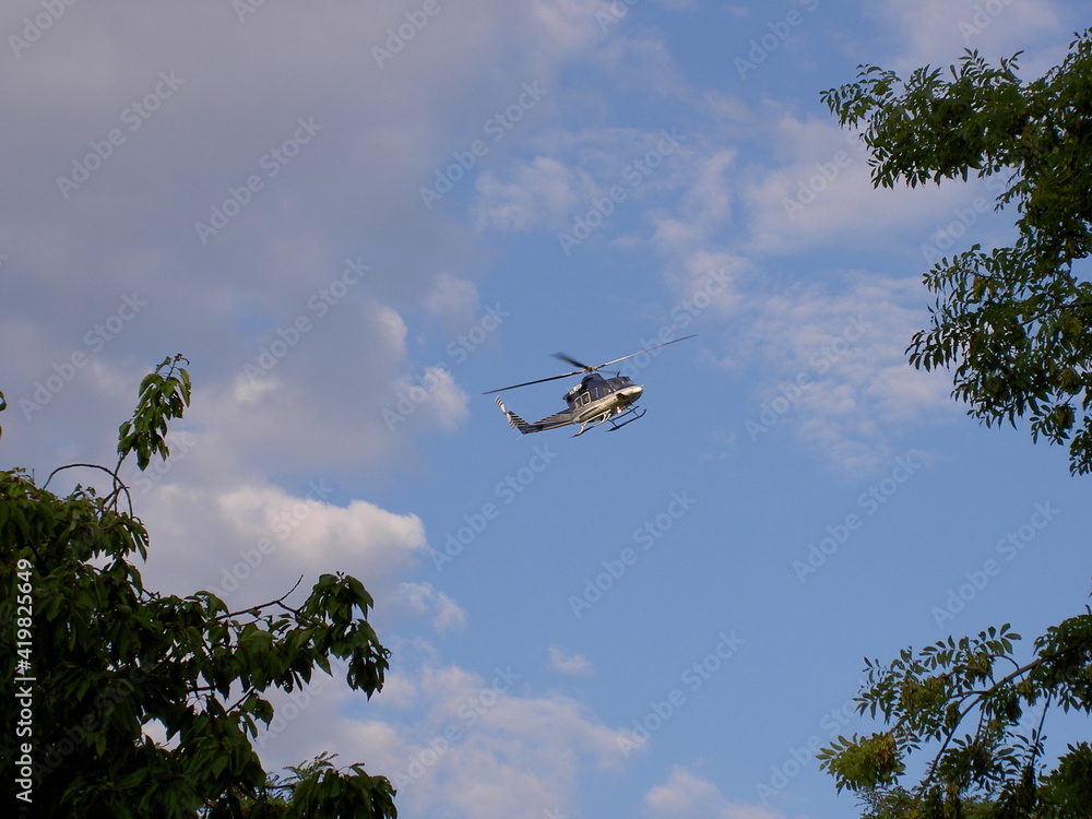Police helicopter flying in the blue sky during the day, tree branches ...