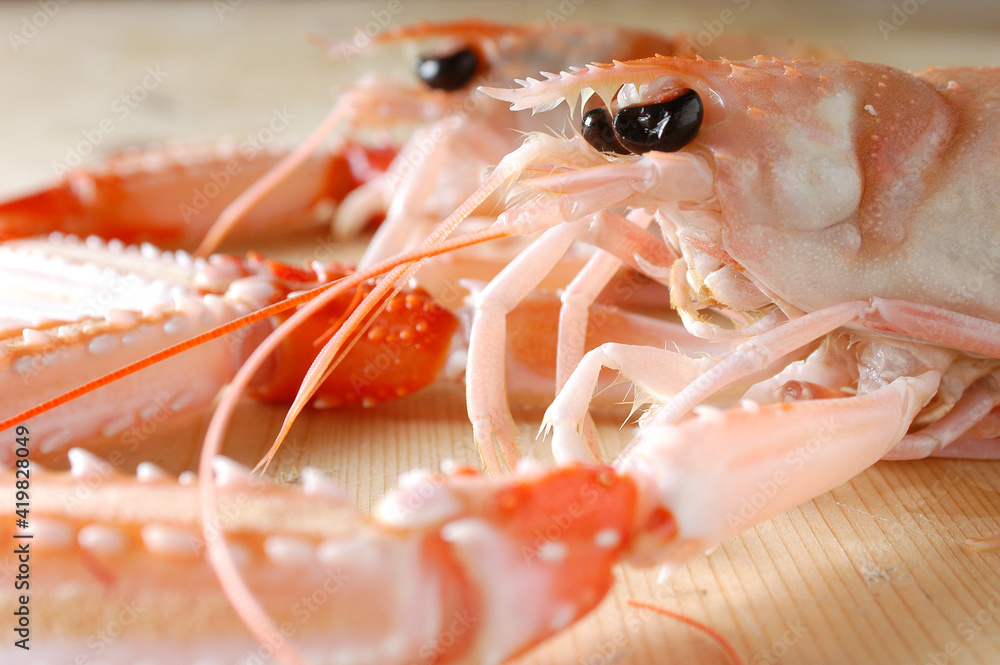 langoustine fish called scampo di Mazzara del Vallo in Sicily in detail ...