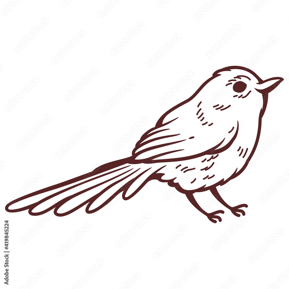 Bird line drawing. Line art vector illustration. This illustration ...