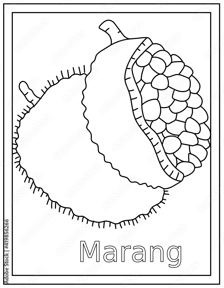 Marang coloring page design in hand drawn vector Stock Vector | Adobe Stock