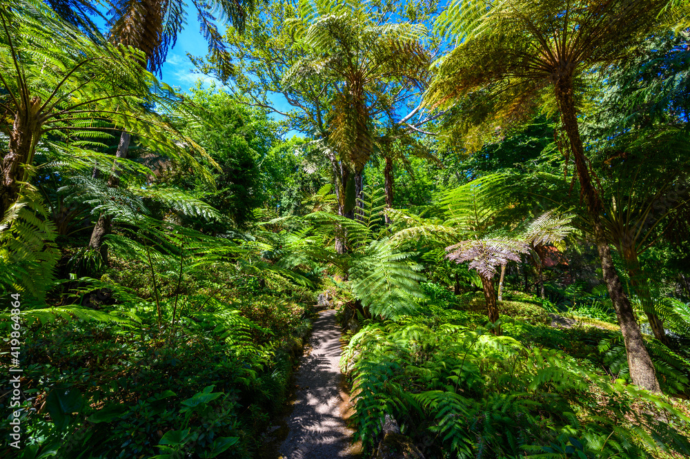 Monte Palace - Tropical Garden with Waterfalls, Lakes and traditional ...