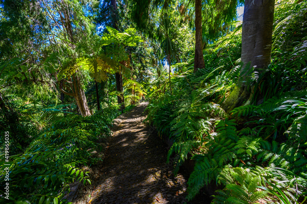 Monte Palace - Tropical Garden with Waterfalls, Lakes and traditional ...
