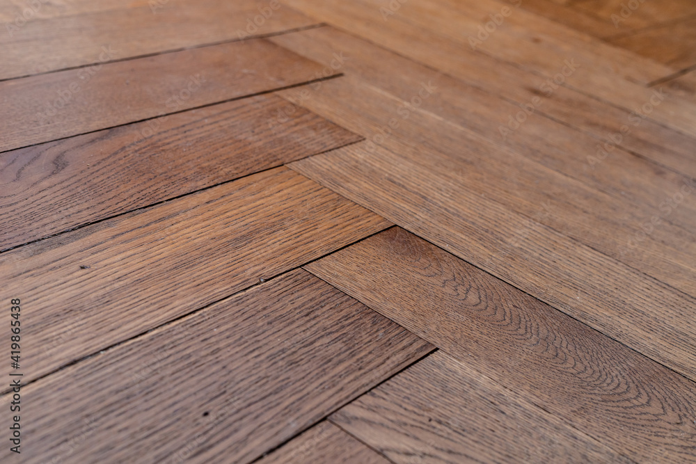 Low angle photo of orange brown aged old hundred year old hardwood oak ...