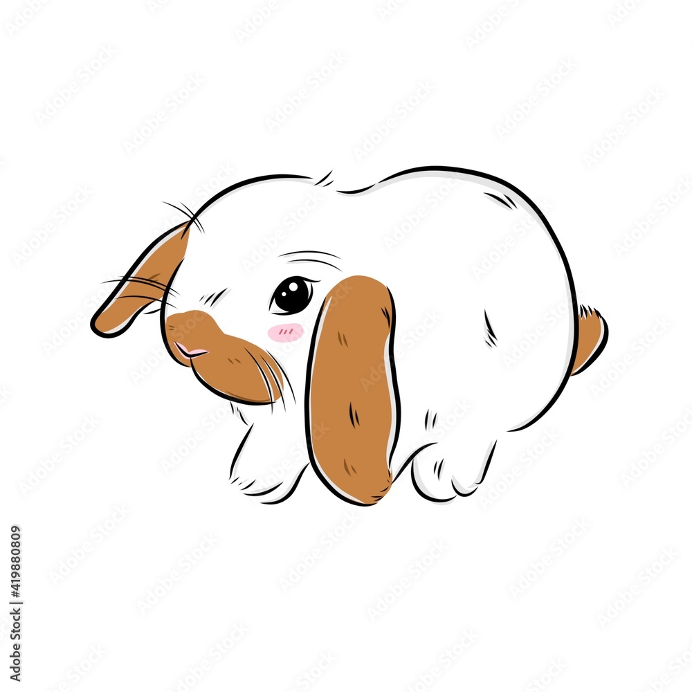 Drawing illustration of cute holland lop bunny on white background ...