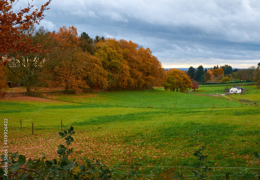 Stockfoto nature | Adobe Stock