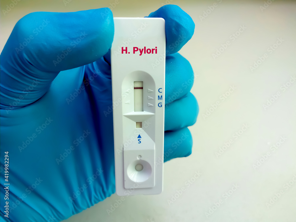 Scientist hold a test device or cassette for H. pylori test. Rapid ...