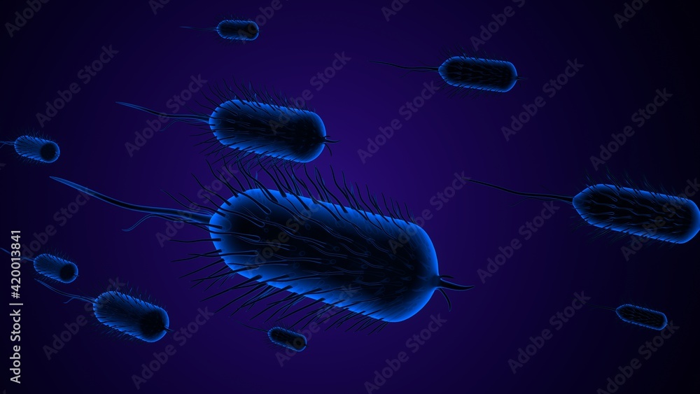 3d illustration of bacteria anatomy Stock Illustration | Adobe Stock