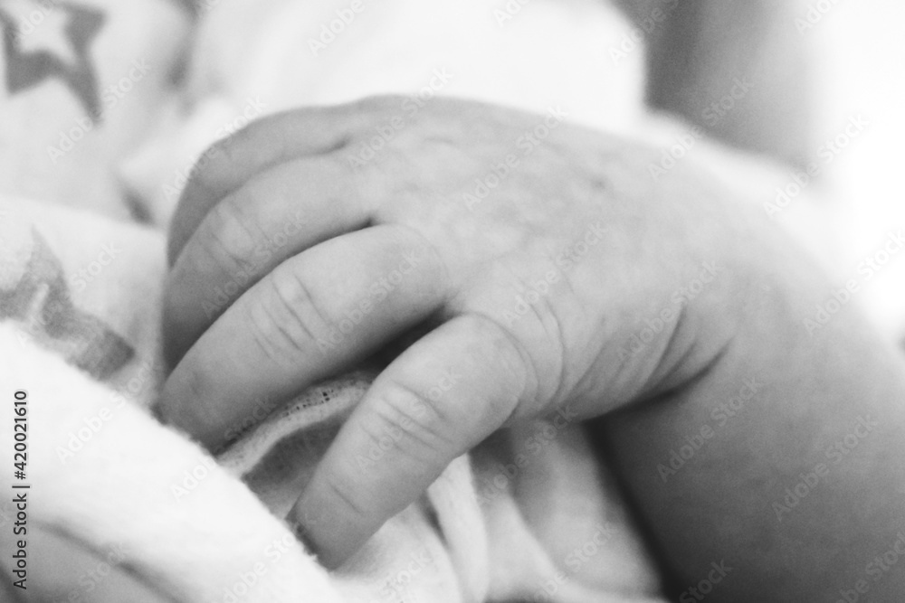 Little South African new born baby's small hand with small fingers ...
