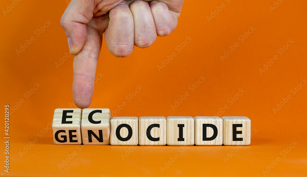 Ecocide or genocide symbol. Businessman turns cubes and changes the ...
