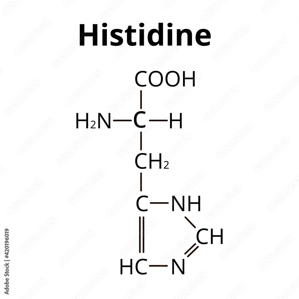 Amino acid Histidine. Chemical molecular formula Histidine amino acid ...