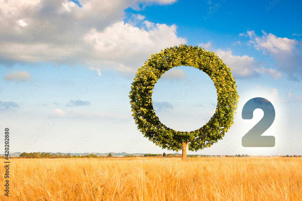 Lone tree in a rural shape with tree in shape of letter O - concept ...