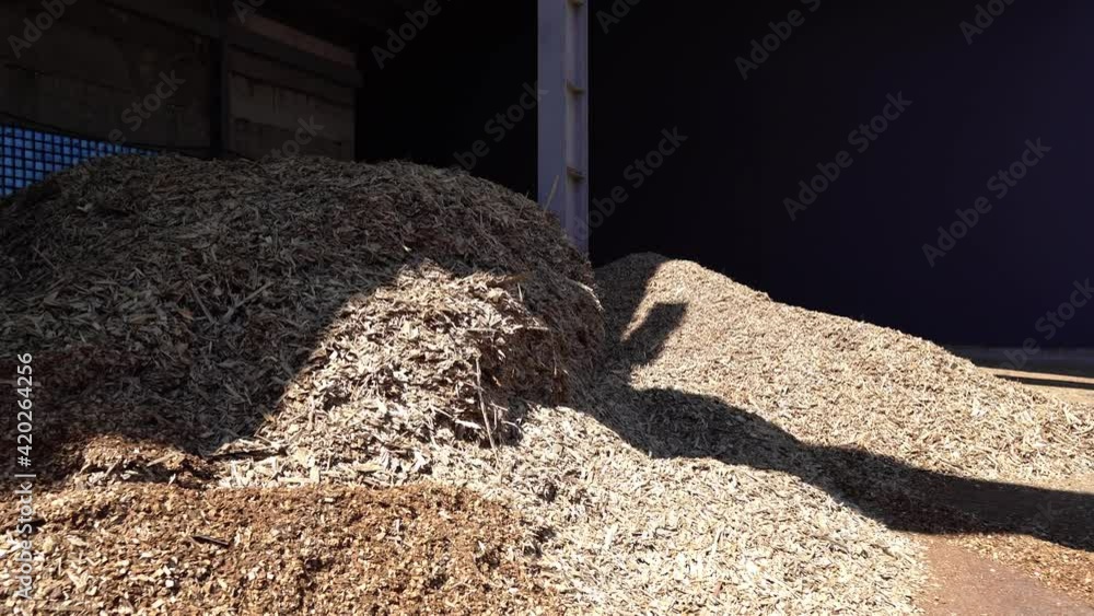 Wood particles of various shapes and sizes, obtained as a result of ...