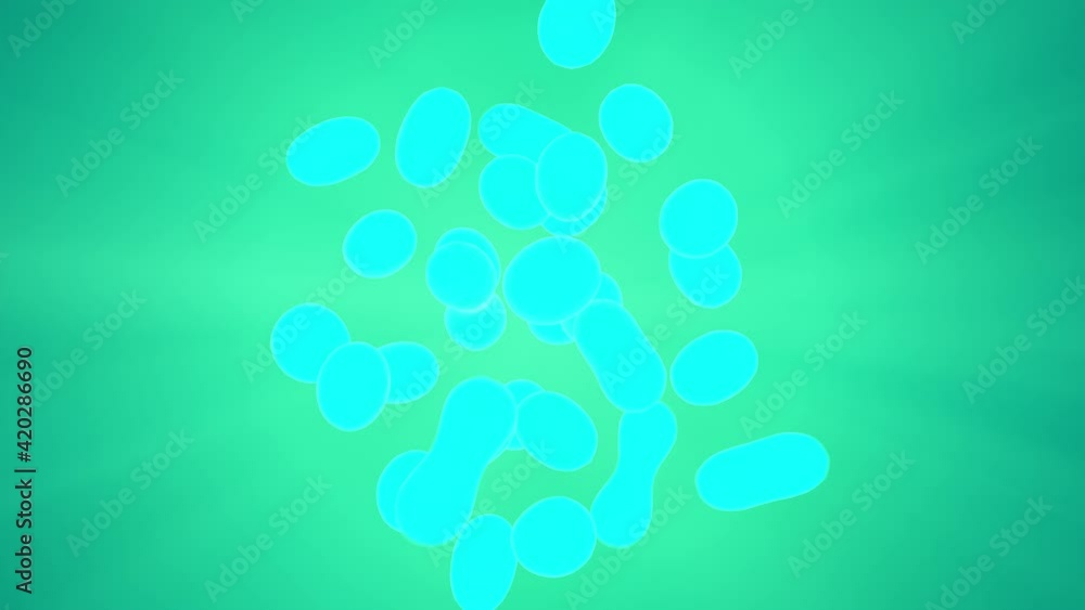 Cellular Division Under Microscope. Mitosis, The Process Of Cell ...