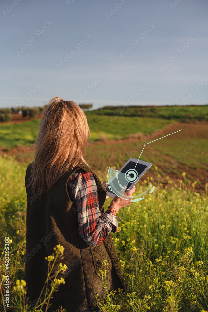 Female field engineer using a digital tablet in agricultural plantation ...