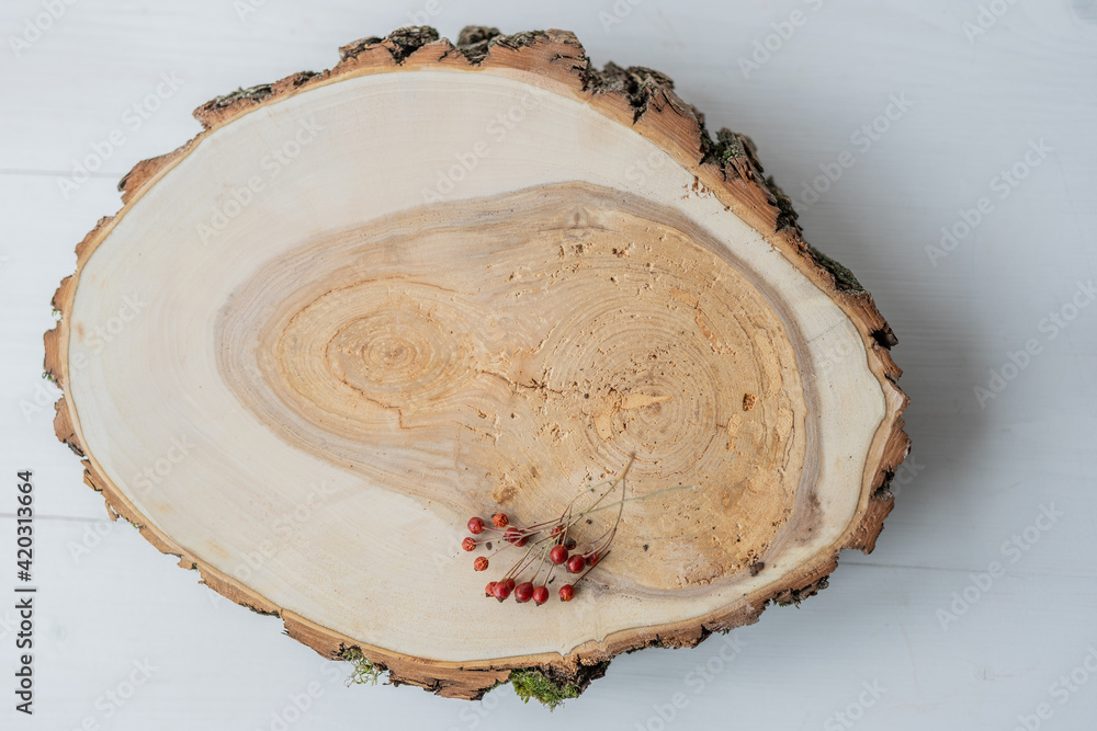 willow wood log slice zero waste natural wedding table setting food ...