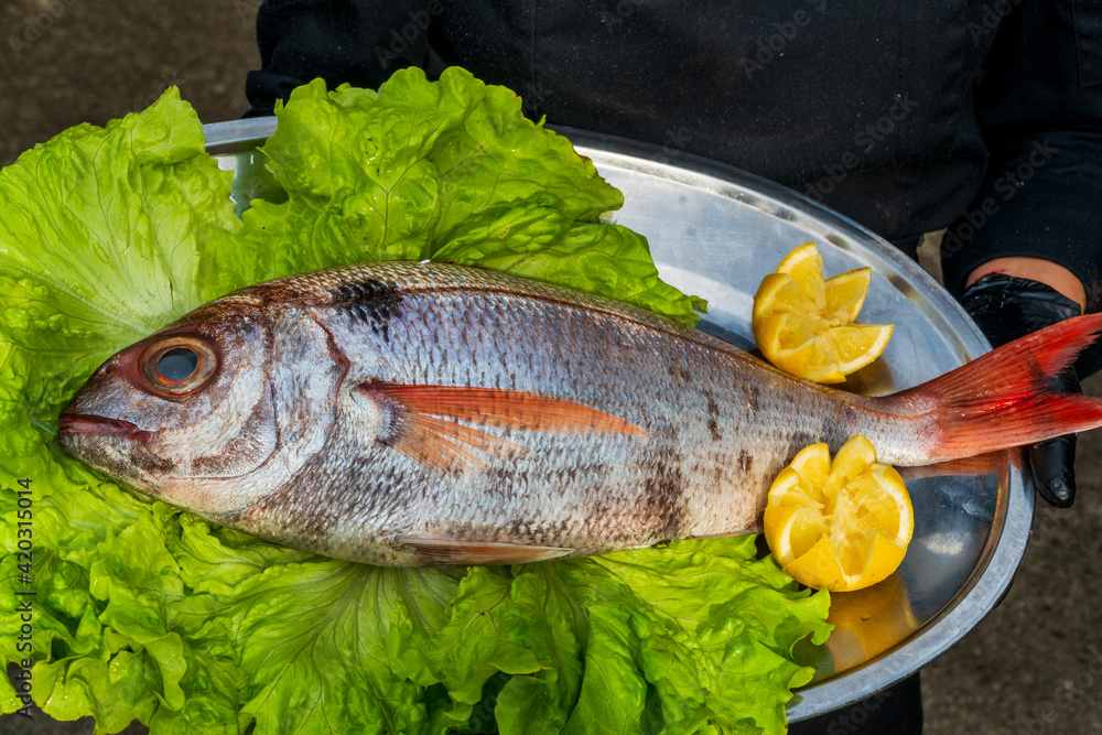 besugo o machote, pescado blanco de mucha calidad, asado en barbacoa u ...