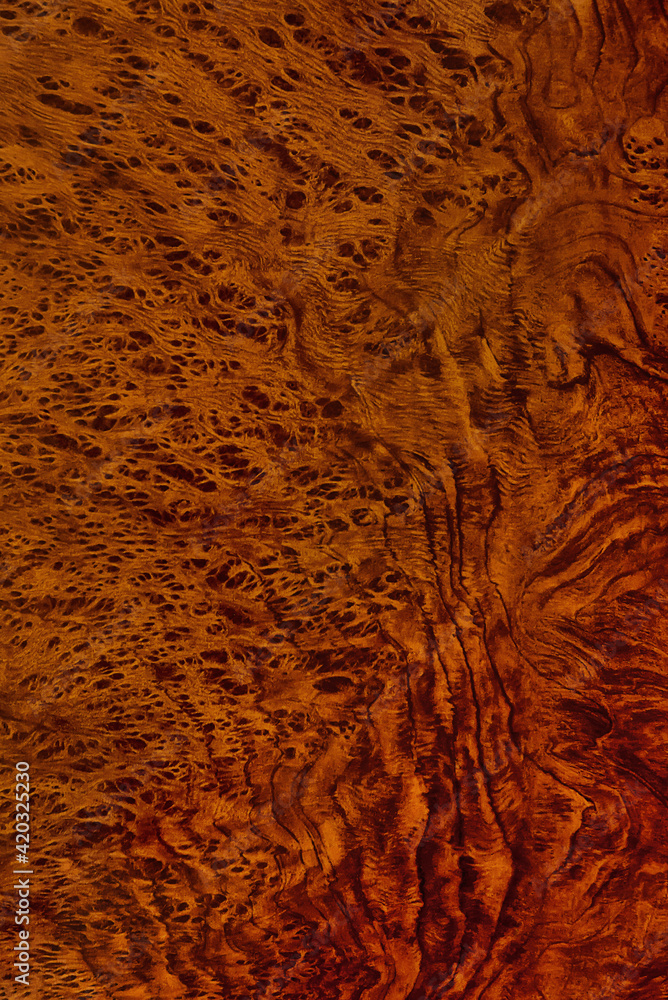 Polished wood texture. The background of polished wood texture. Stock ...