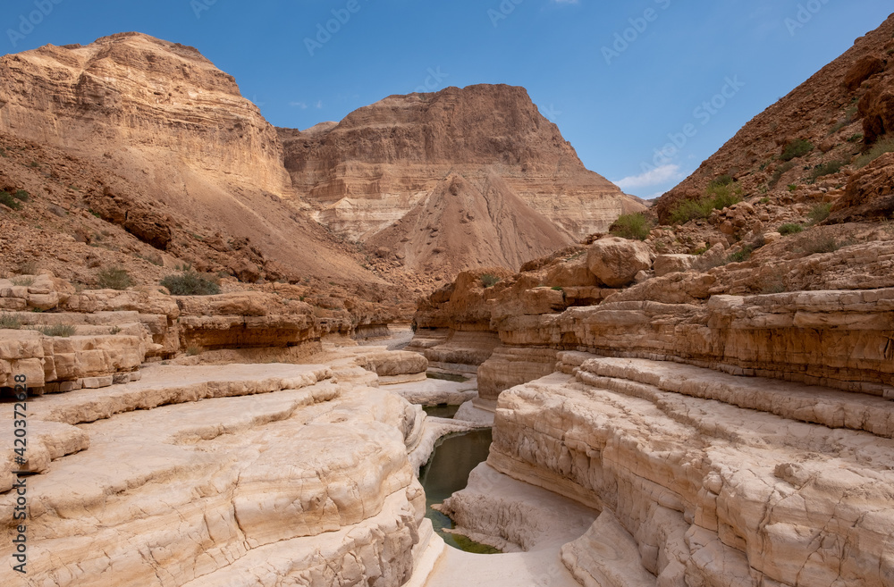 Water pools created by heavy rain in dry wadi Hever, the nature reserve ...