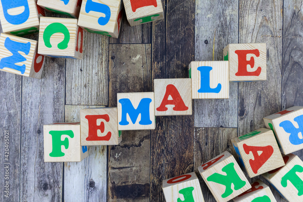Colourful alphabet letters on wooden cubes with word - Female - in a ...