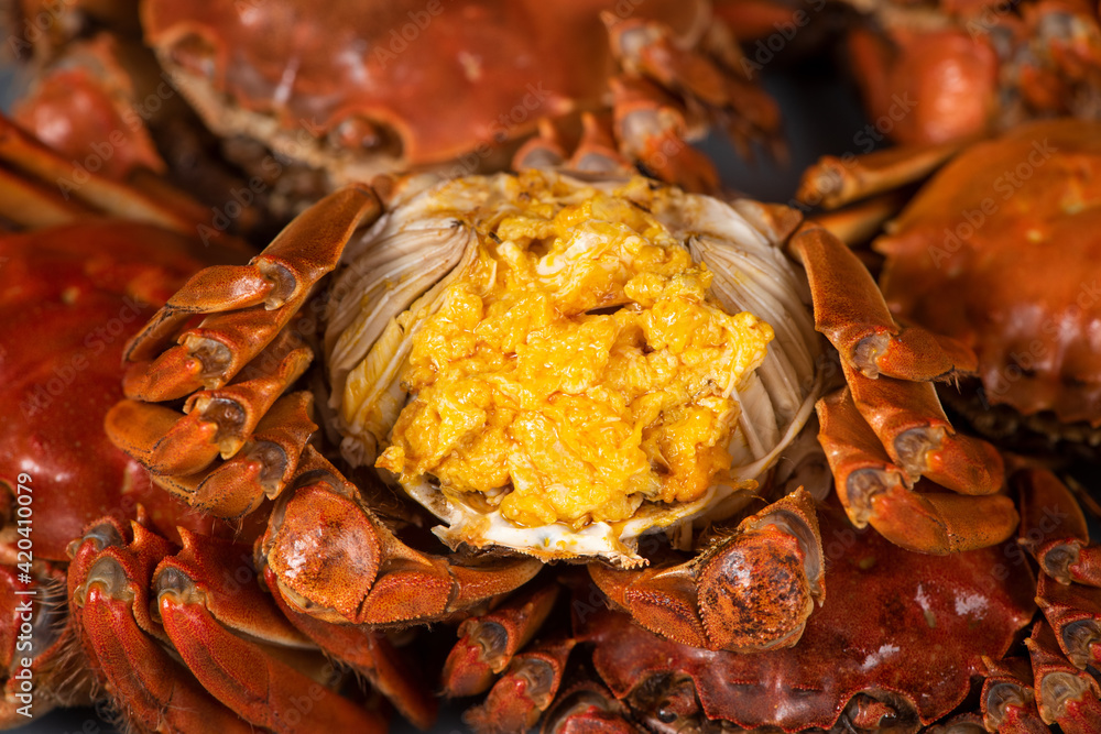 steamed chinese mitten crab, shanghai hairy crab with lots of crab roe ...