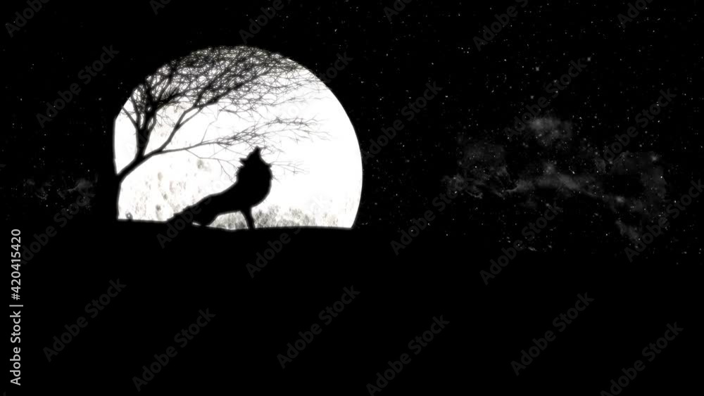 Wolf howling during full moon night, A howl can communicate things like ...