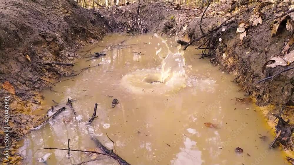 Splashing water in a puddle in slow motion on a rainy day in a forest ...