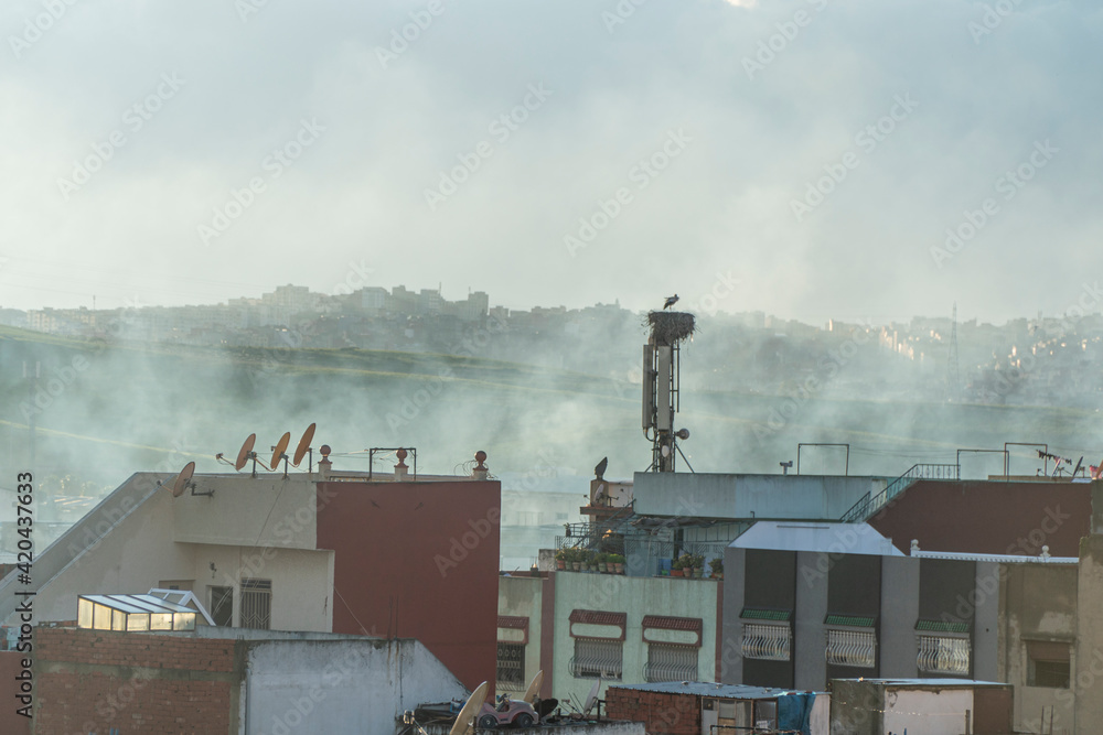 Pollution is a dangerous phenomenon that has spread in this era, a ...